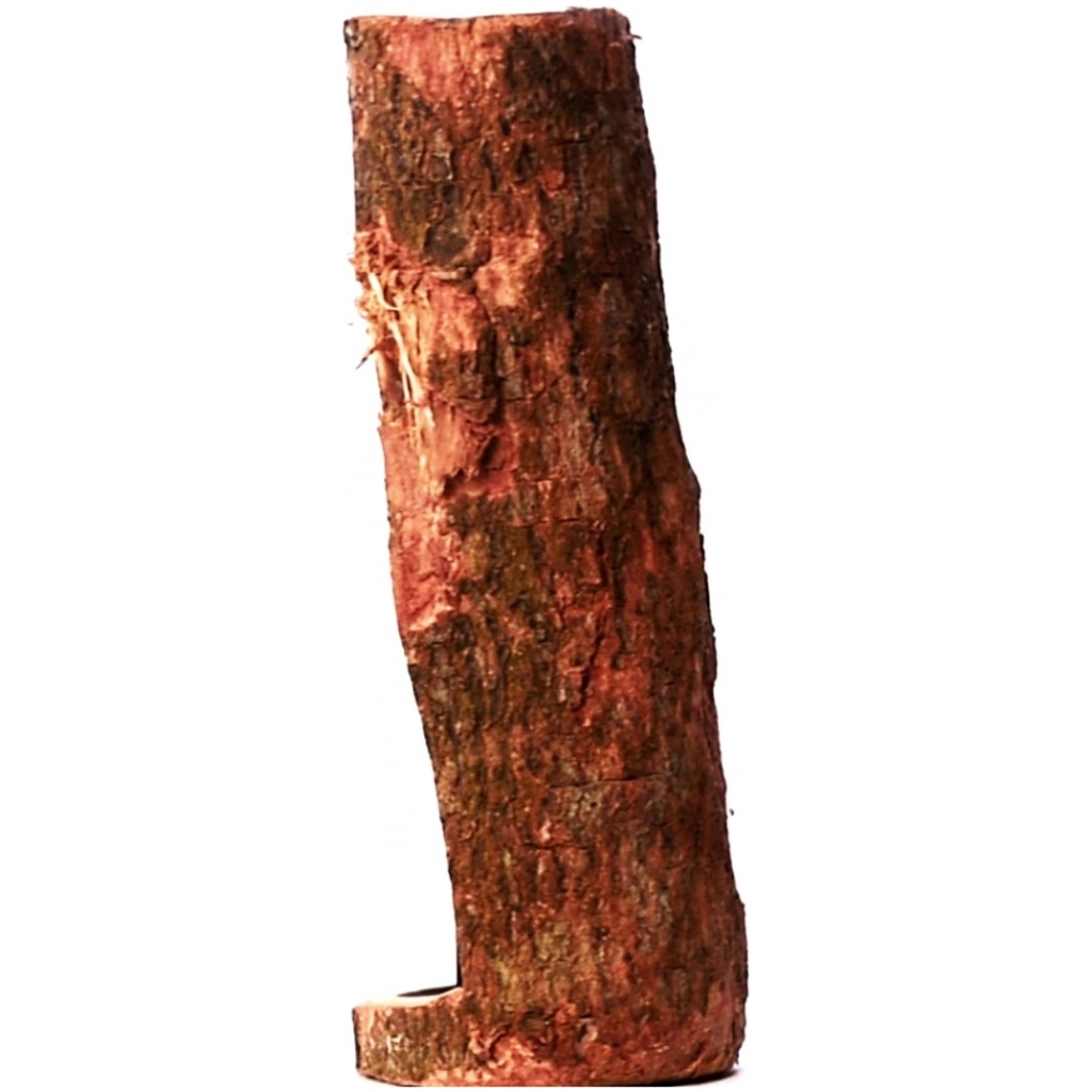 Men Carved Inside a Raw Neem Tree Trunk - Crafts of Africa