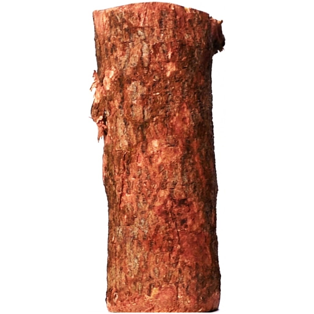 Men Carved Inside a Raw Neem Tree Trunk - Crafts of Africa